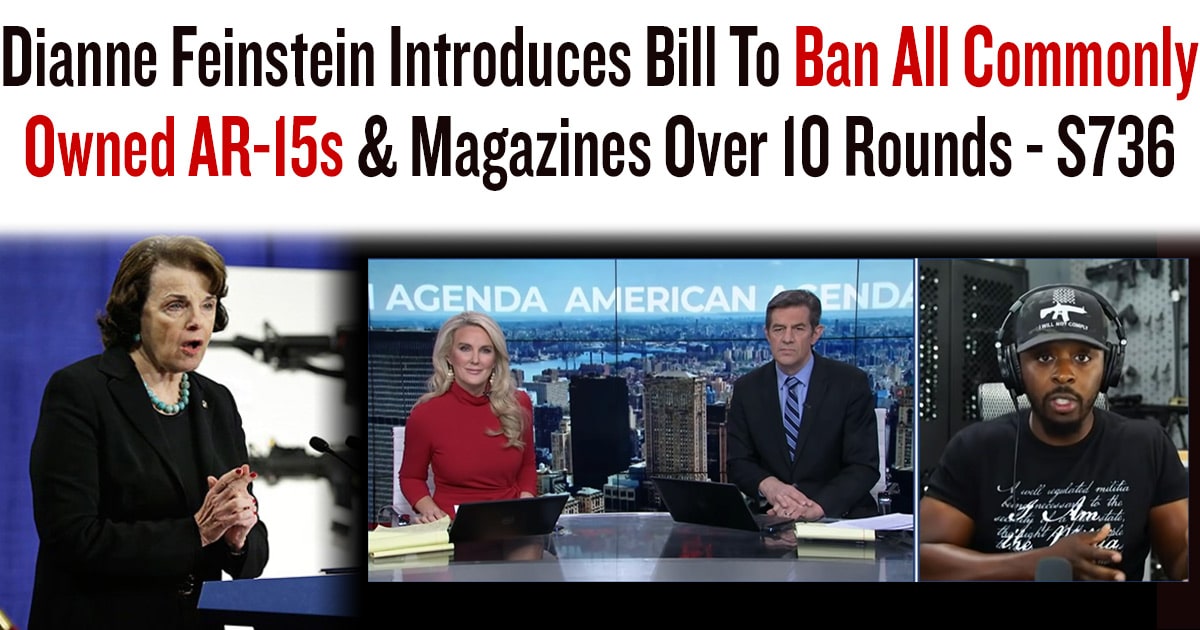 Dianne Feinstein Introduces Bill To Ban All Commonly Owned AR-15s ...